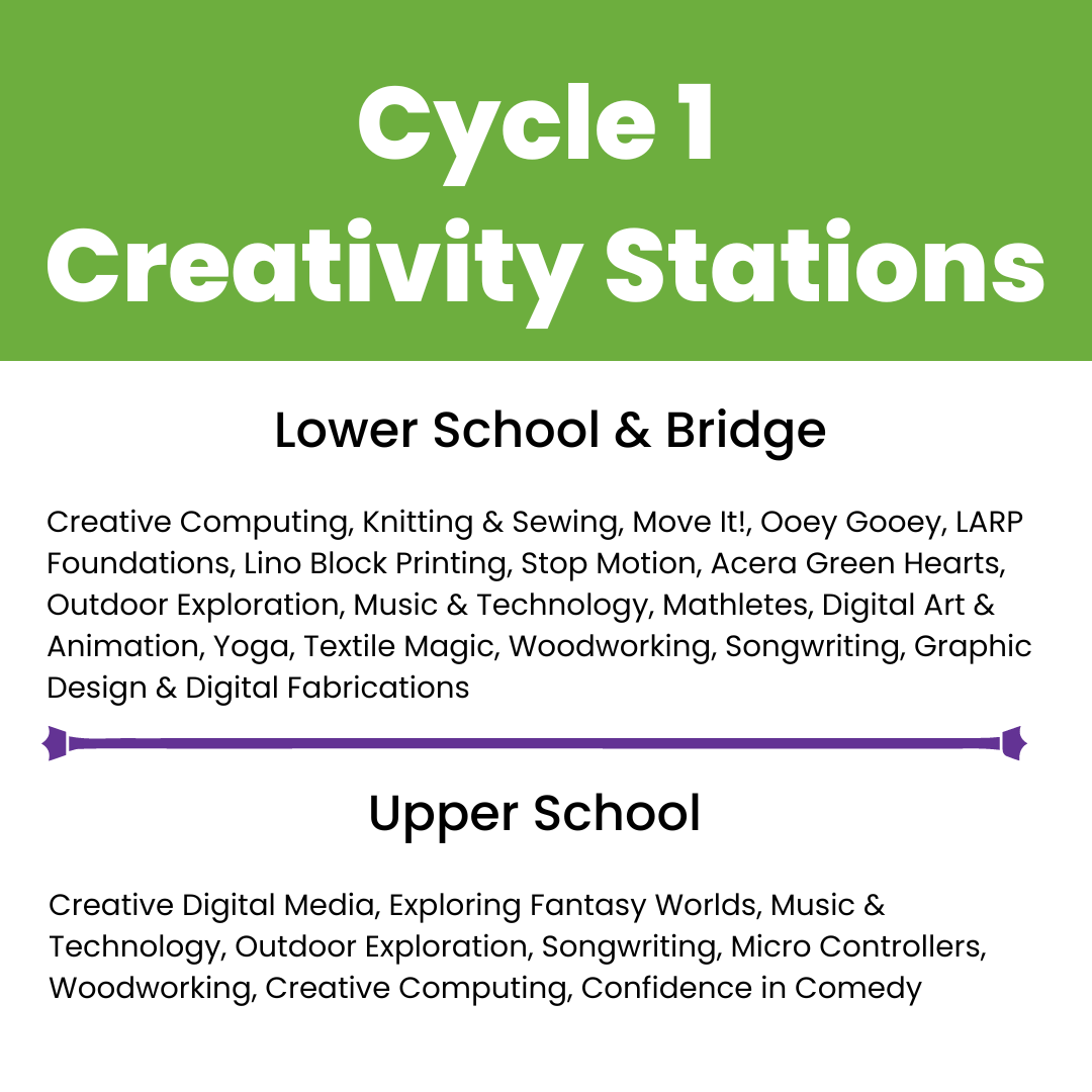 Creativity, Electives and Math, oh my! – Acera School